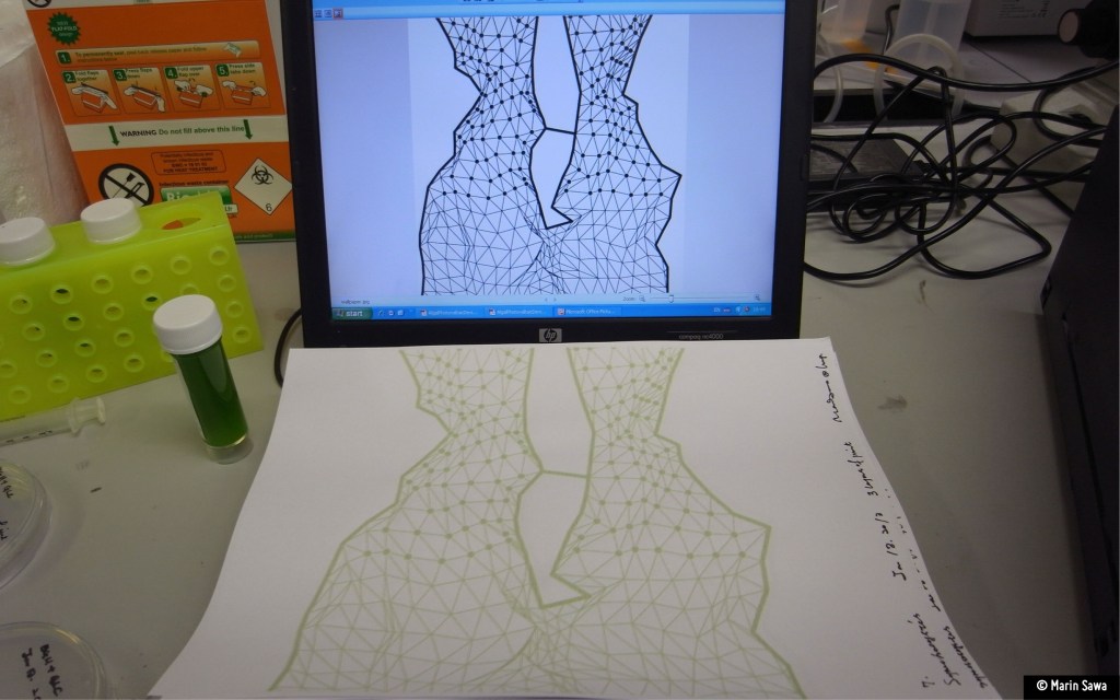 Algae Printing – Intersection of design and science